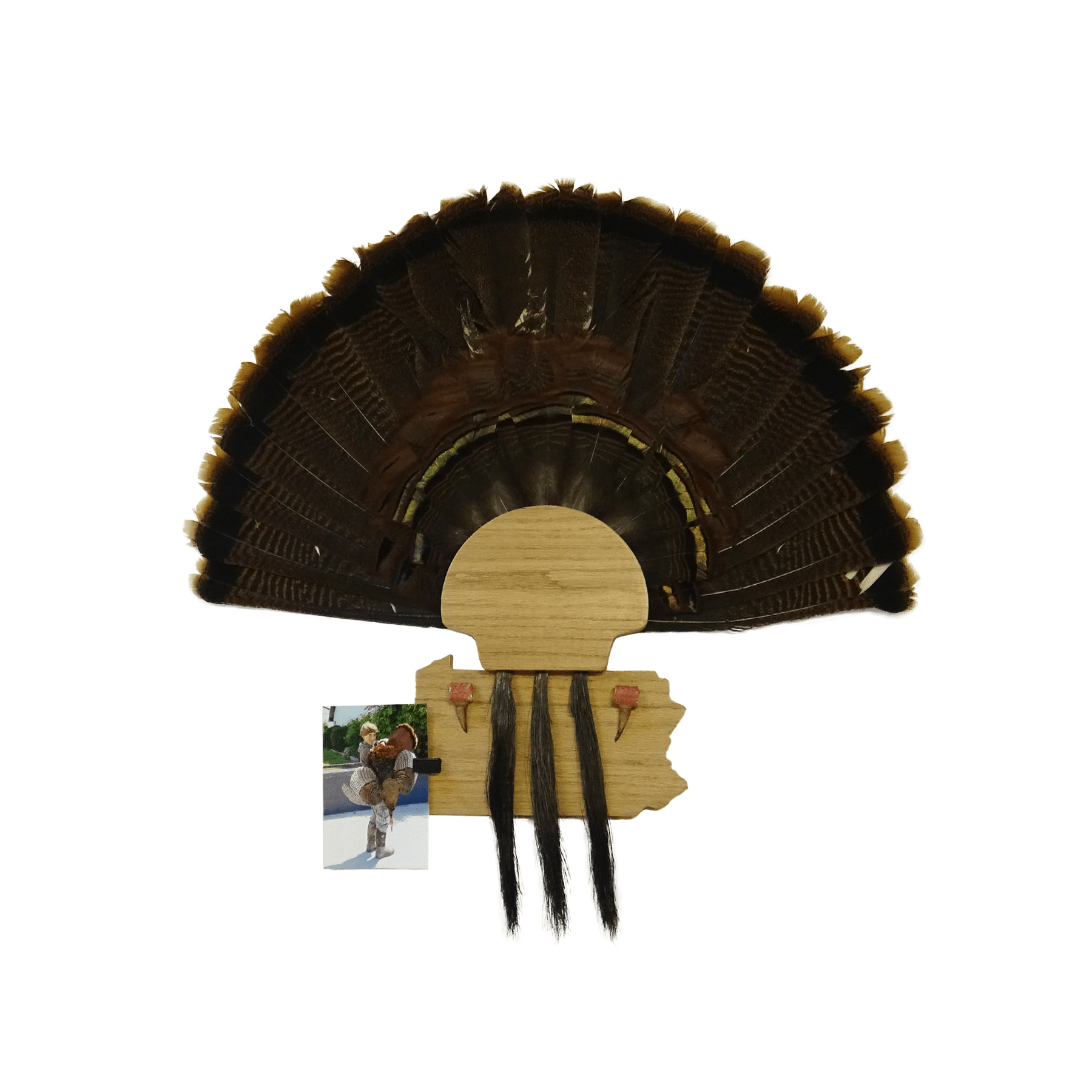 Outdoor Hunting Lab Turkey Mount Plaques with State - Angler's Pro ...